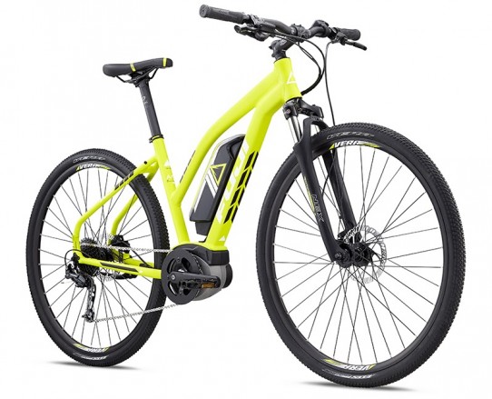 E-Bikes: Golden Triangle Bike